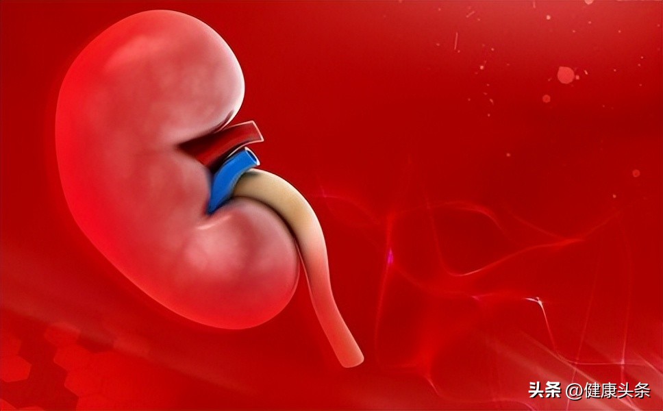 Nephrology department sees those diseases, what inspection items should ...