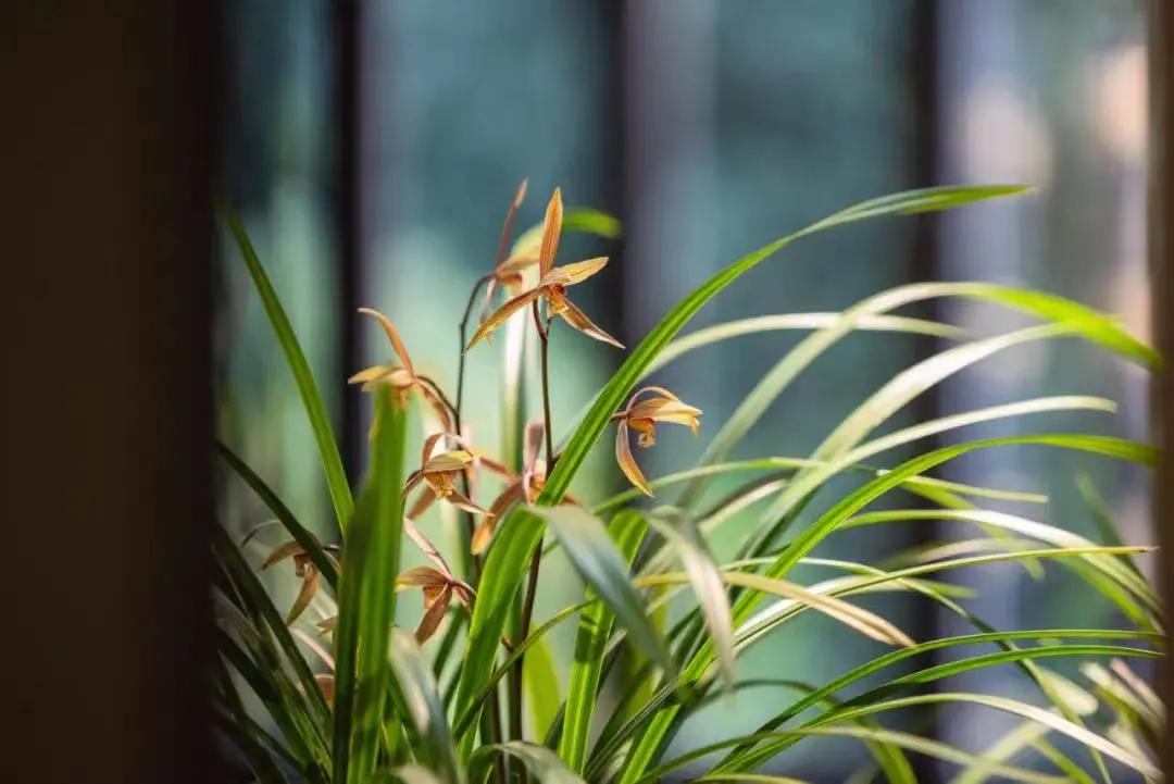 30 cultural allusions, beautiful for 5000 years of China! - iNEWS
