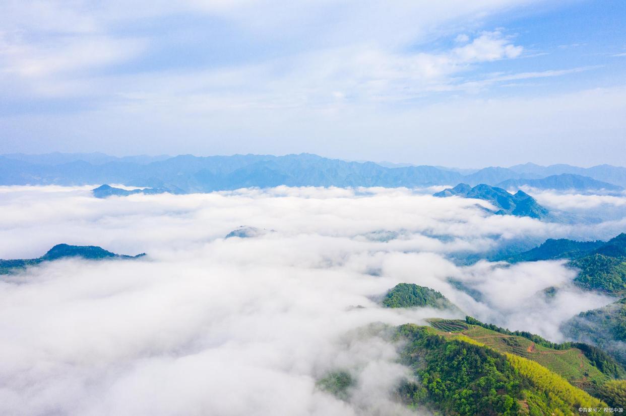 A collection of Song Ci classics, each of the 21 poets has a ...