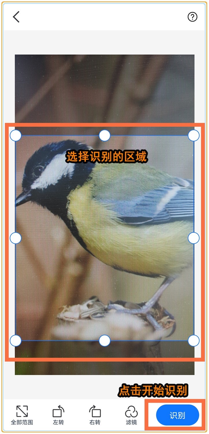 How to identify animals with a mobile phone? This small method is easy ...