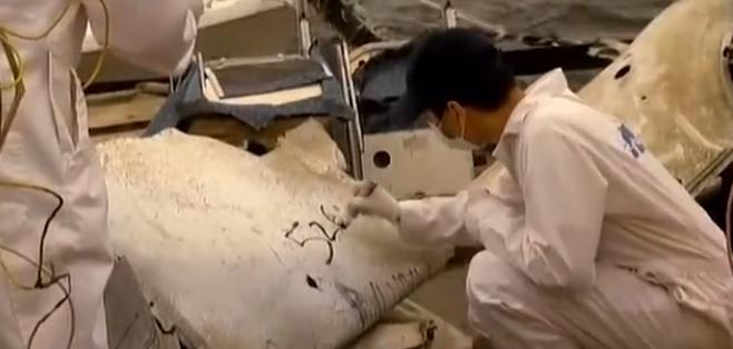 In 2002, Flight 611 crashed mysteriously in the air, killing all 225 ...