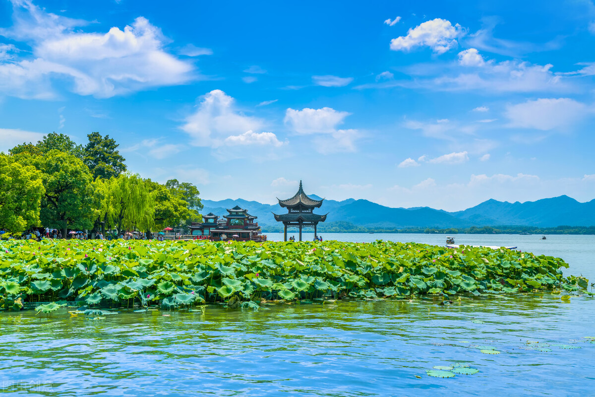 Tasting the sounds of nature, explaining the author Lu Ye of "The ...