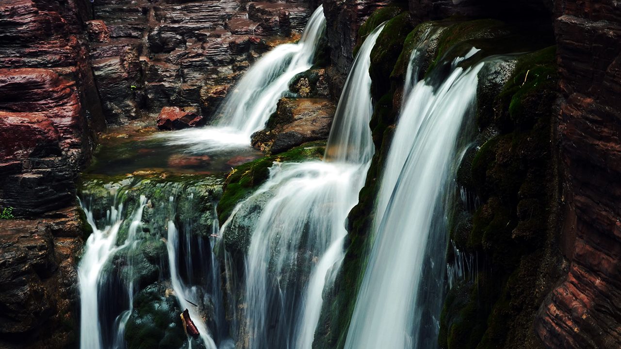 The twenty-second chapter of the Tao Te Ching is the whole - iNEWS