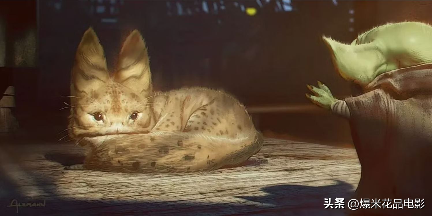 The 12 Cutest Creatures in the Star Wars Universe - iNEWS