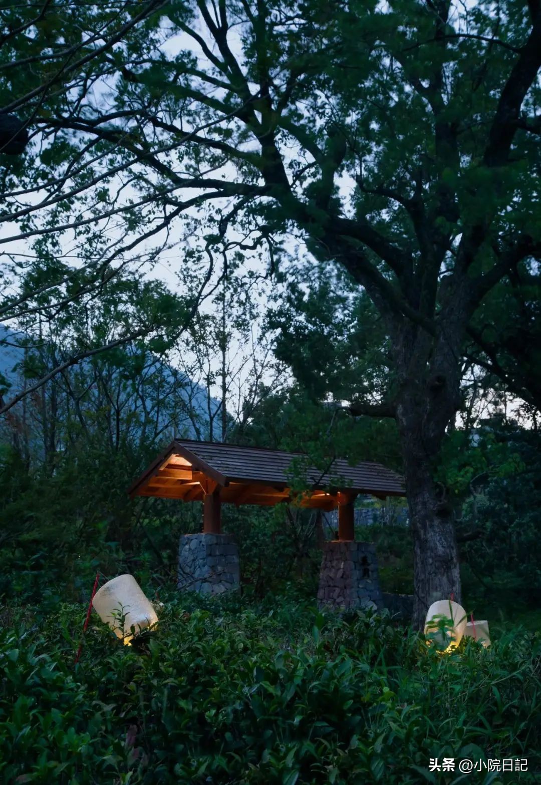 "Return to the original, let's go back to the village together ...