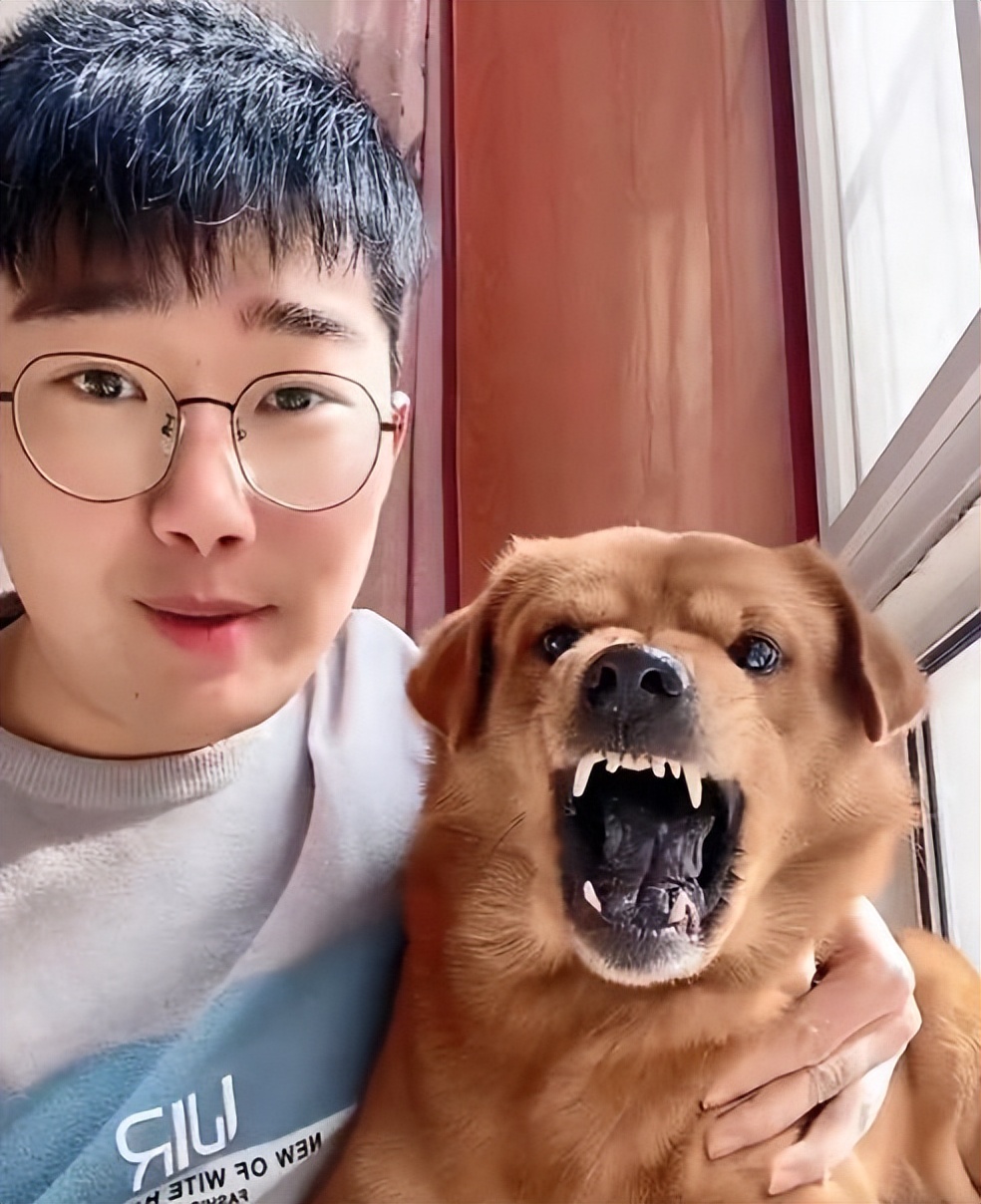 The Internet celebrity dog Xiaopang was abused by the owner!Tooth ...