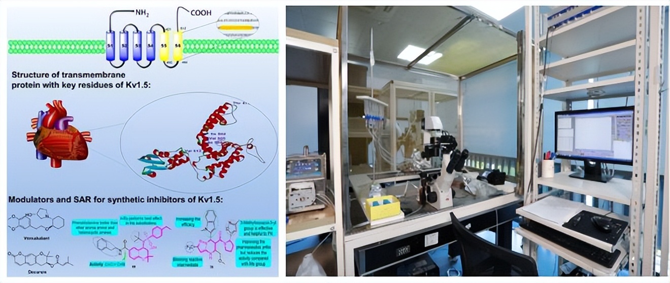 Ion Channel Detection - iNEWS