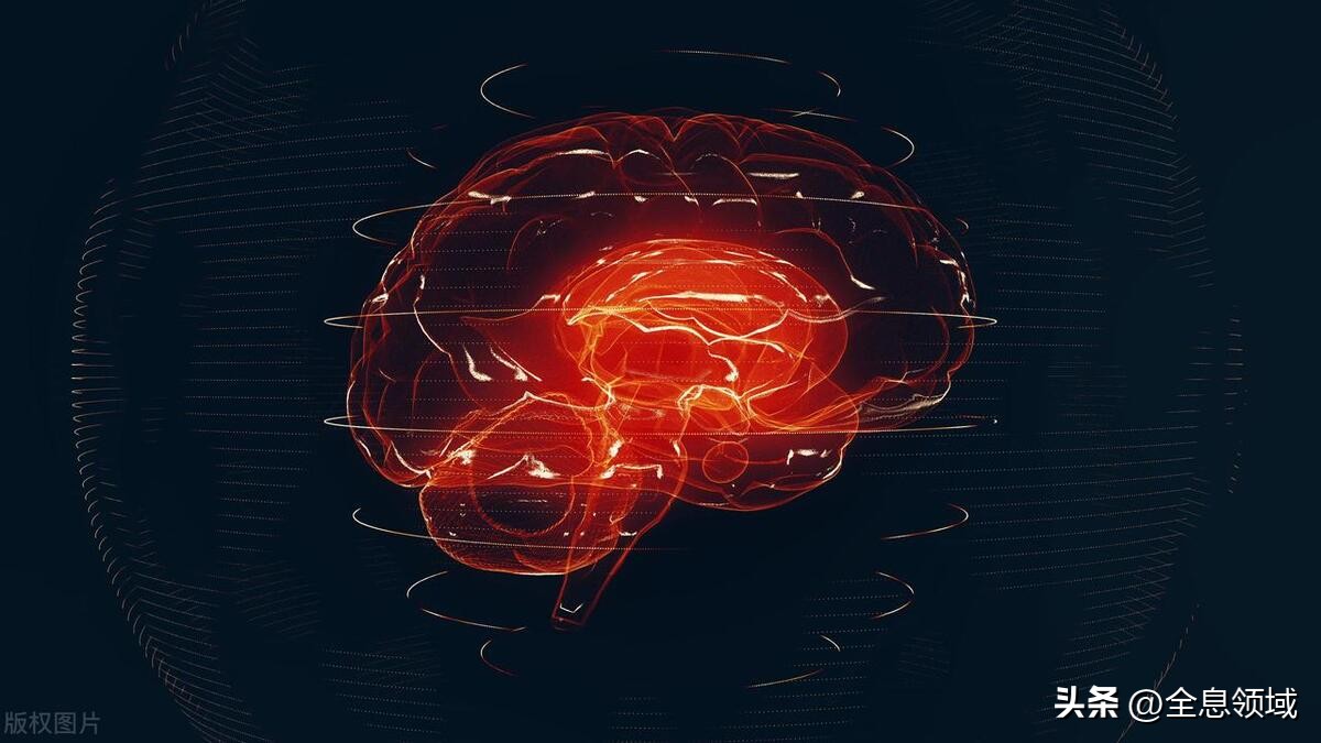 Explore the mysteries of the human brain, revealing the nature of ...