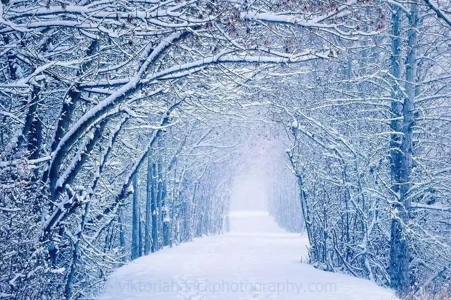 Poetry from "Tahe Wenyuan" in Tarim: Conjectures about winter in the ...