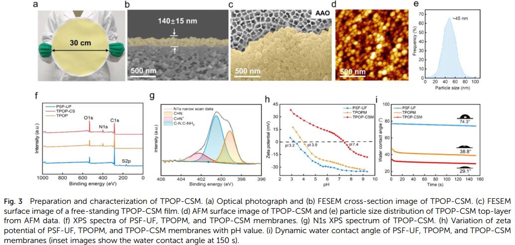 JMCA: Triazine Porous Organic Polymer Thin Films for Efficient Molecule ...