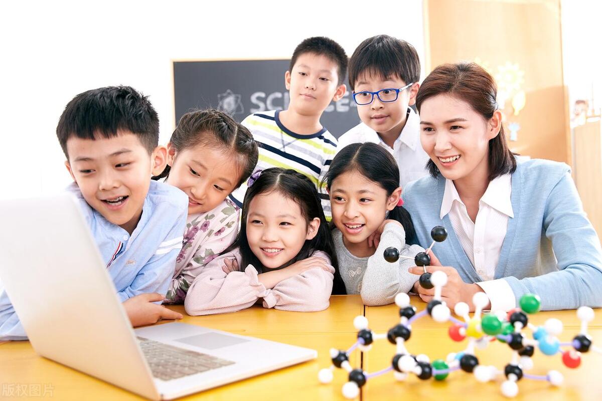 "Perspective Collection" (57) Parallel Perspectives: Whole Brain ...