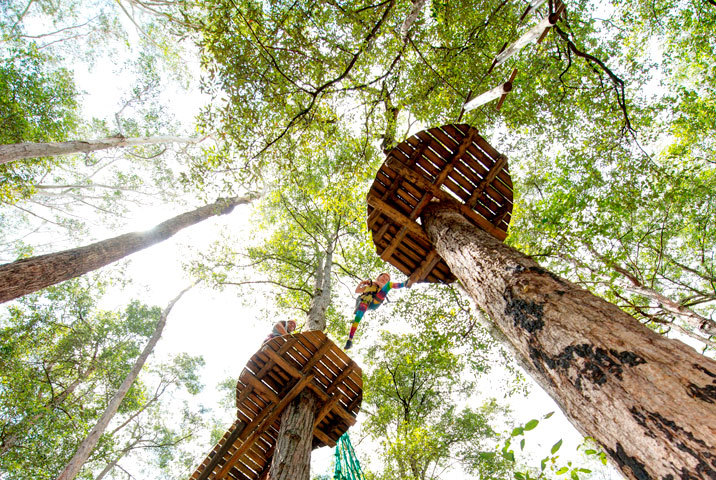 New Century Amusement: What are the good projects to make money in ...