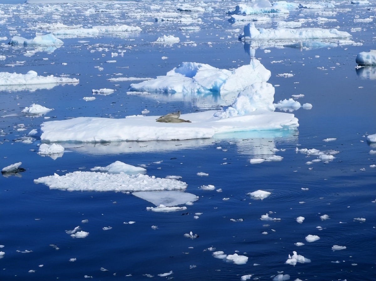 Behind the collapse of Antarctica's Conger Ice Shelf - iNEWS