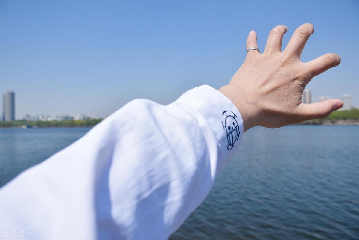 One Piece Route Map - iNEWS