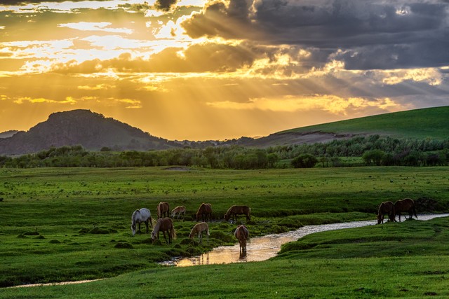 Pearl on the Prairie: Fairy in the Painting - iMedia