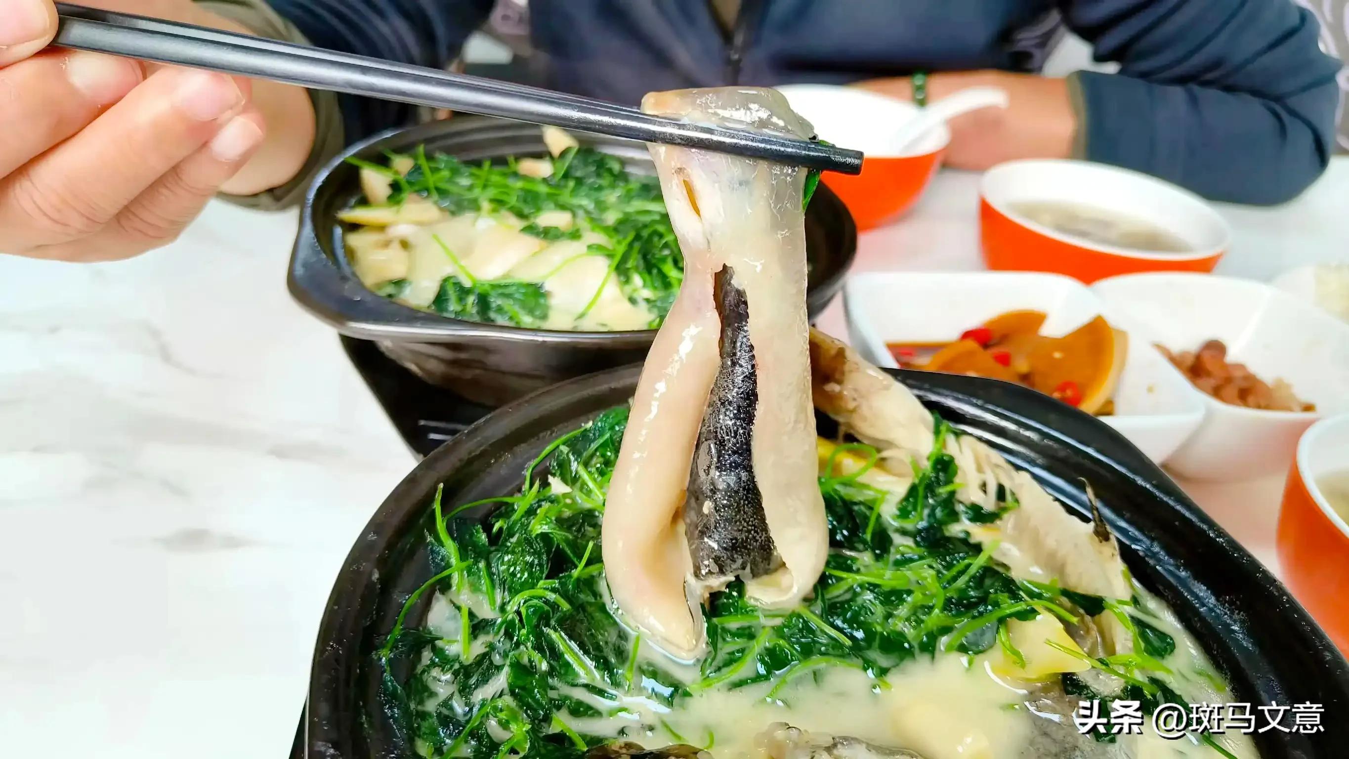 Eat puffer fish desperately, eat out culture, eat out intangible ...