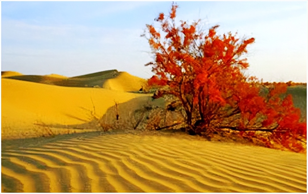 Peng Huan Datou's "Crazy Self-Driving Chasing the Sunset" 25 Kodala ...