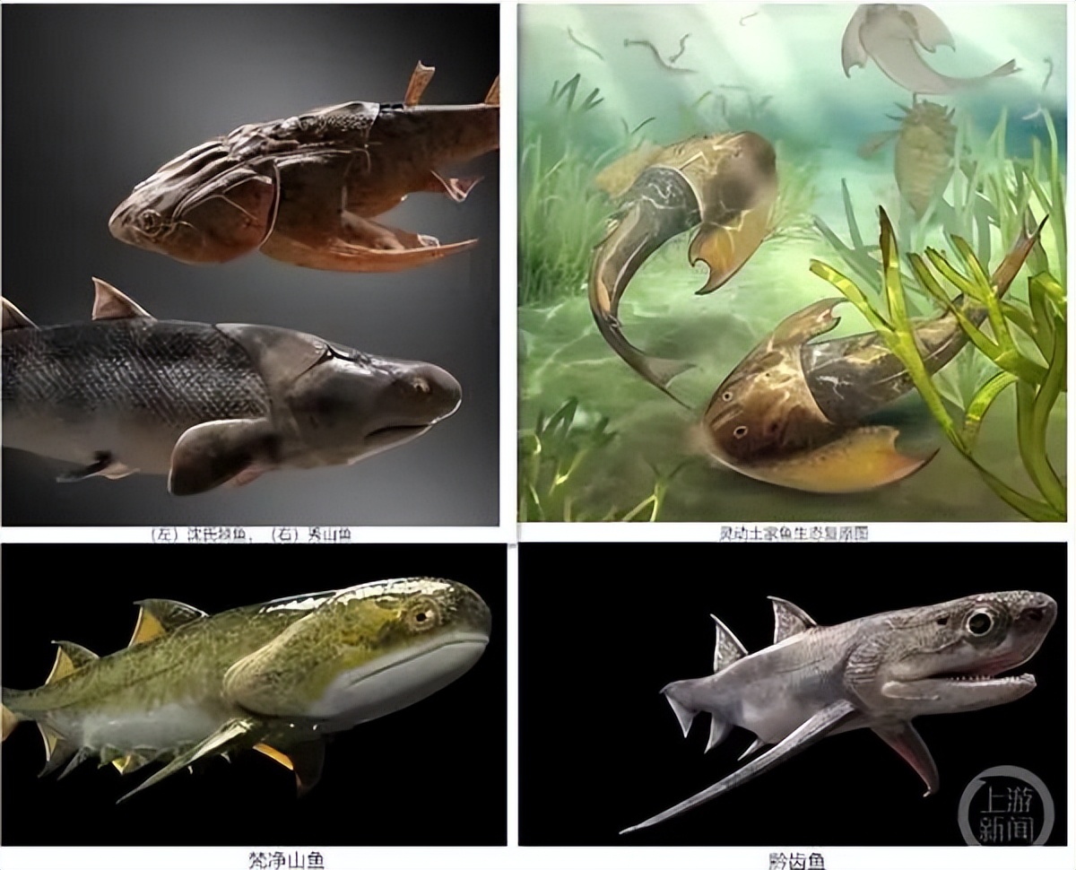 The latest evidence from the academician of the Chinese Academy of ...