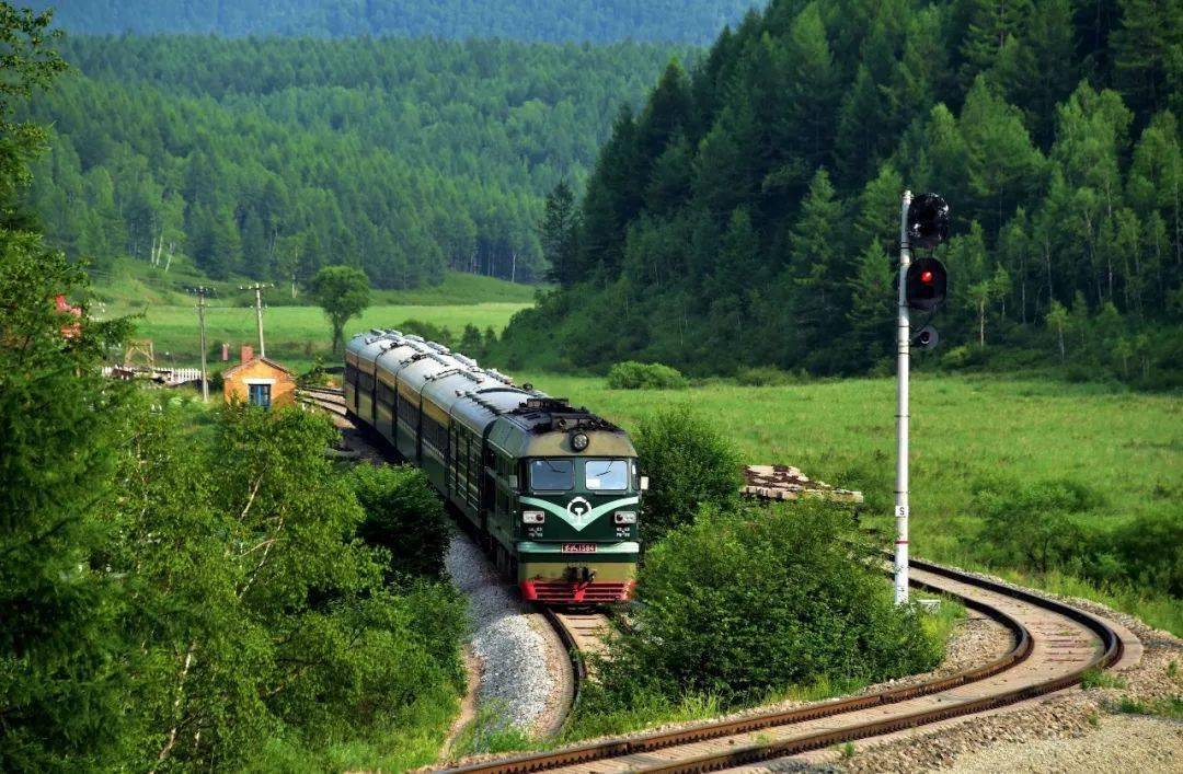 Now that it is so developed, how can green leather trains survive in ...