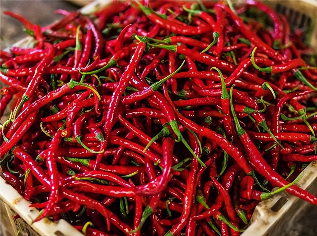 Chinese pepper spiciness ranking, the most spiciest is it, 1 gram of ...