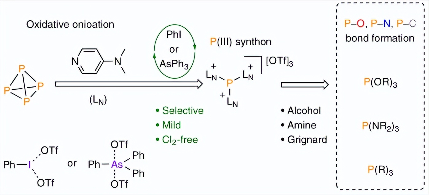 Nat. Chem.: White Phosphorus Oxidation - A Multifunctional Phosphorus ...
