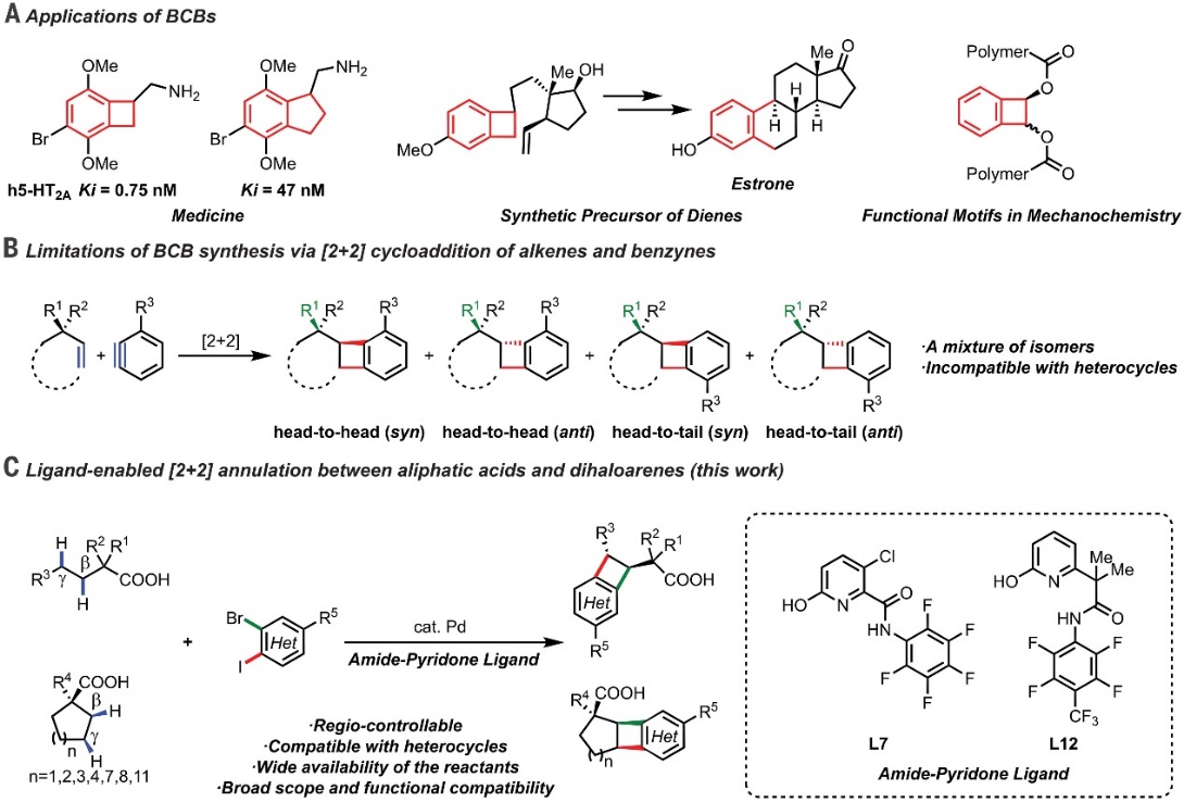 Yu Jinquan's team Science: A new strategy for the synthesis of ...