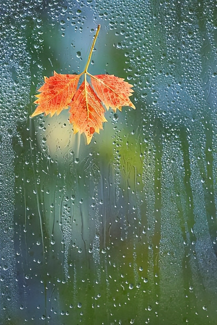 The Secret Collection of Chinese Civilization: The first sentence of ...