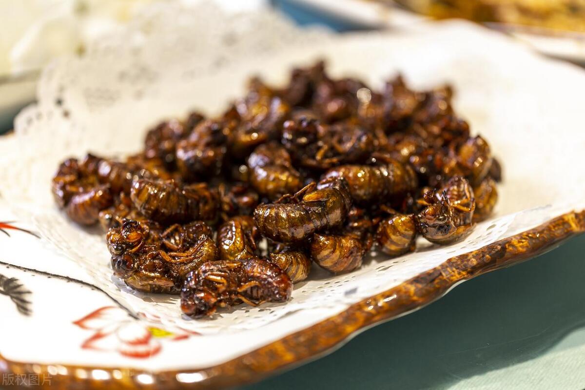 Local Food: Fried Cicada Monkey - iNEWS