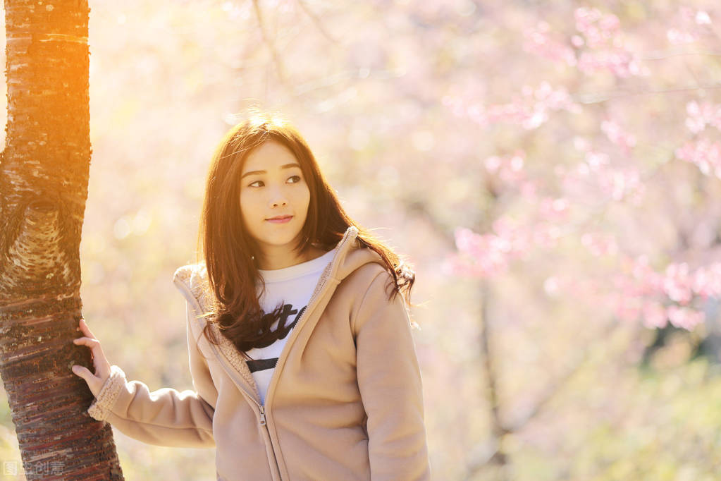 Spring cherry blossoms in March!3 Sakura Poems, Enjoy Poetic Spring ...