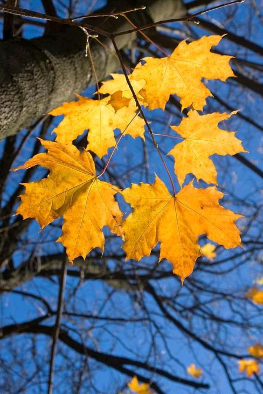 Prose: In August, turn around and meet autumn - iNEWS