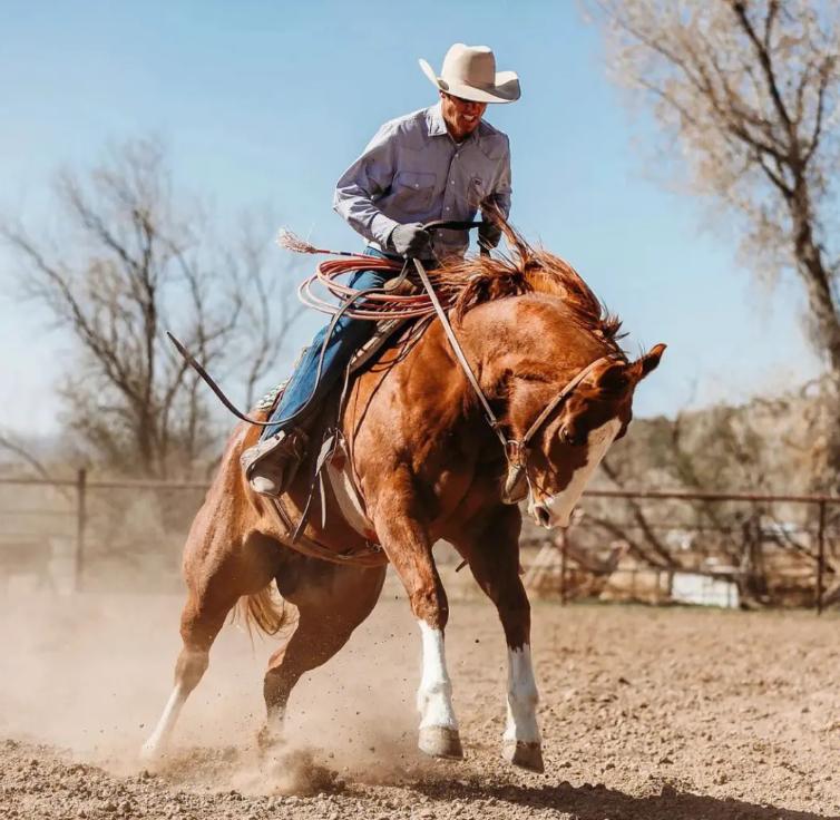 Deciphering the image of the cowboy in Sam Shepard's play from the ...