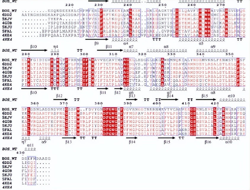 Study on the key enzymes and their characteristics in the biosynthesis ...