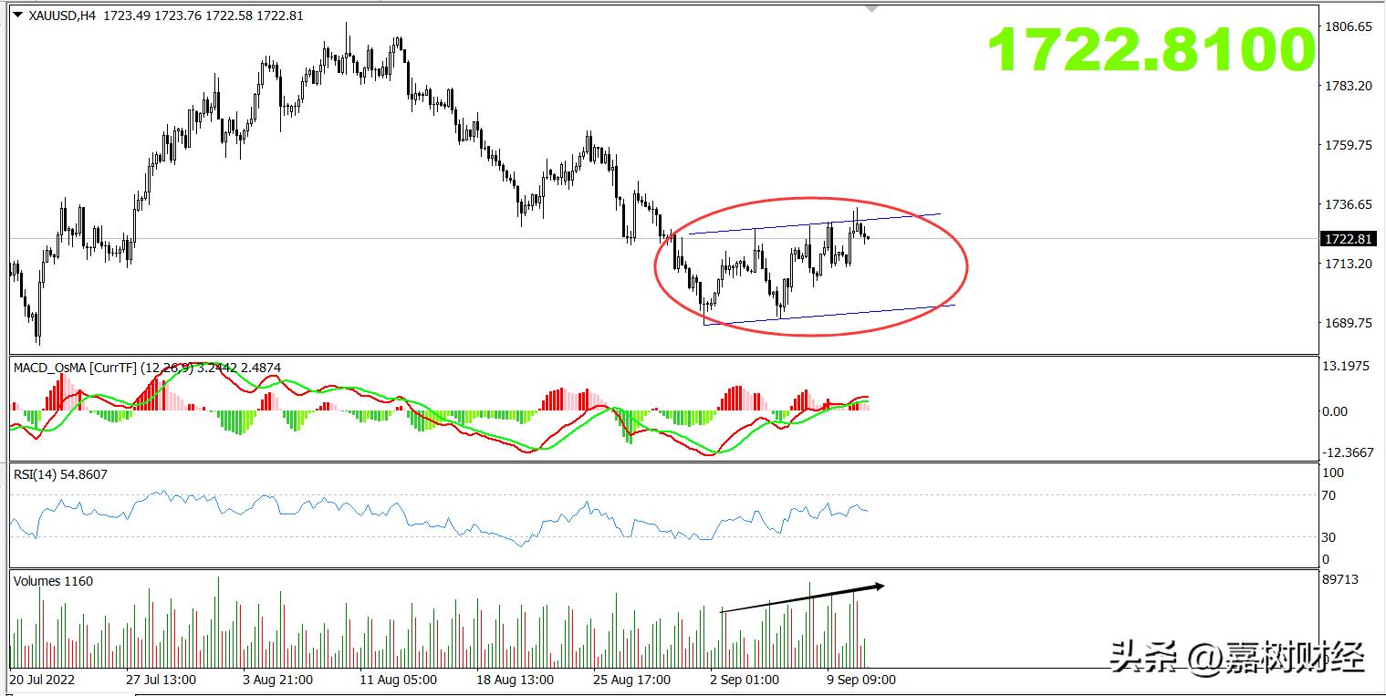Jiashu: Can the CPI data blow the bulls' counterattack? - iNEWS