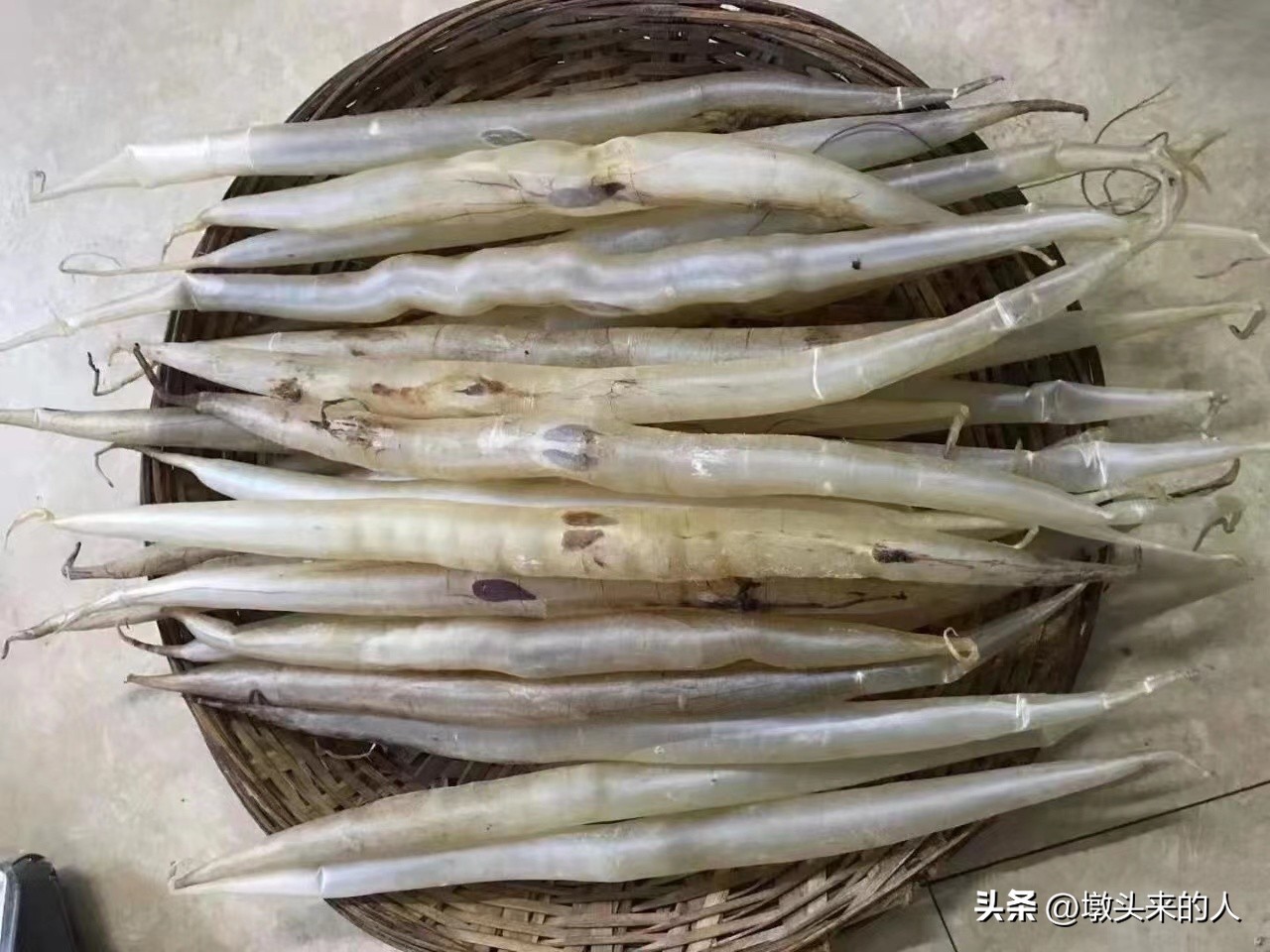 Hainan's ancient taste - meat stuffed fish bubbles (fish maw) - iNEWS