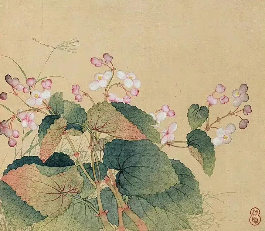 Liu Rushi·Flower Album - iNEWS