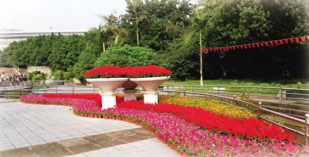 It's time to re-acquaint yourself with Coral Park! - iNEWS