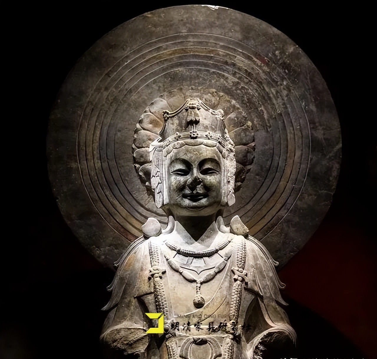 Sparse tree cicada hissing white dew cold - elaborate cicada culture ...