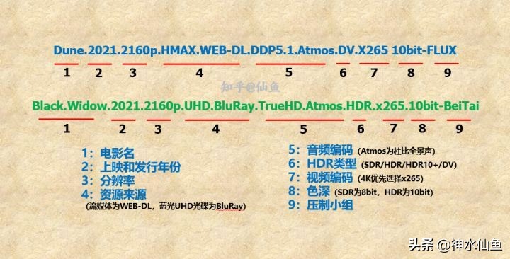 Little Science: What do the WEB-DL, DDP, and X265 in the movie file ...