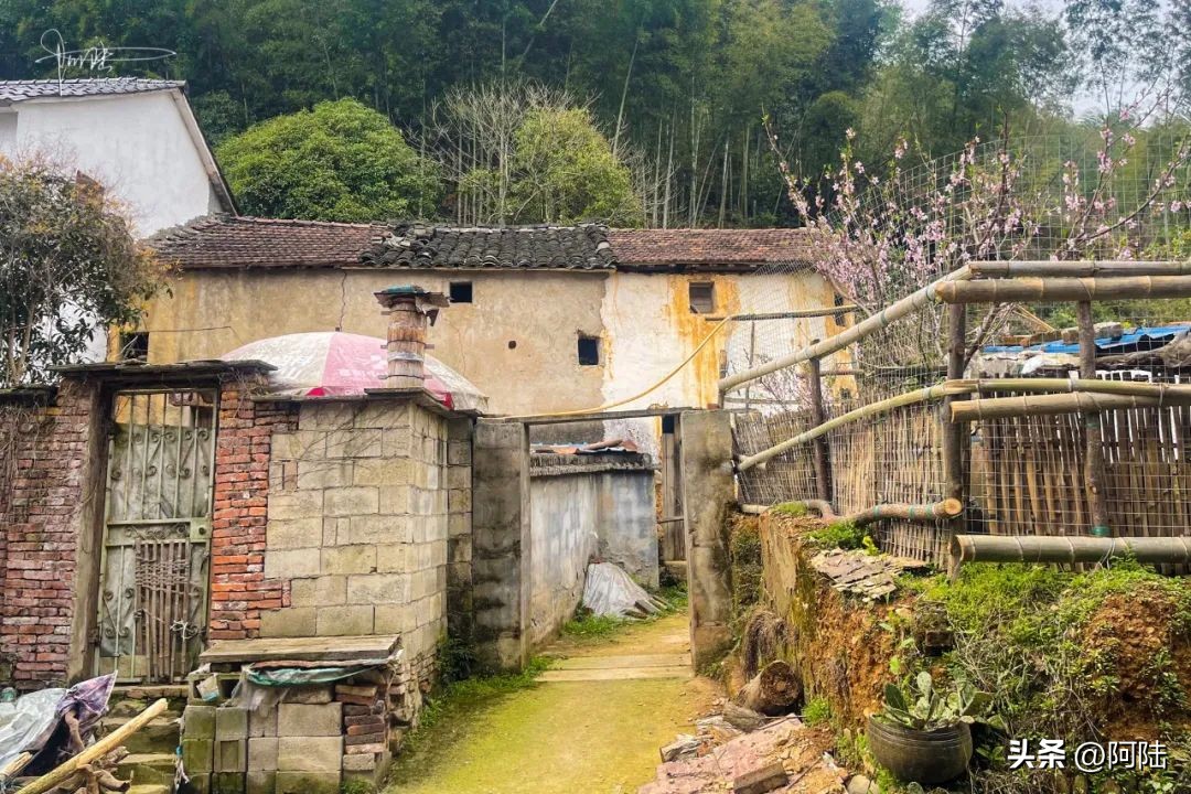 There is a small village in the depths of Fuyang Mountain named after ...