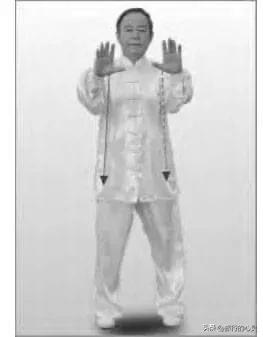 24-style Taijiquan illustration and key points (12) - iNEWS