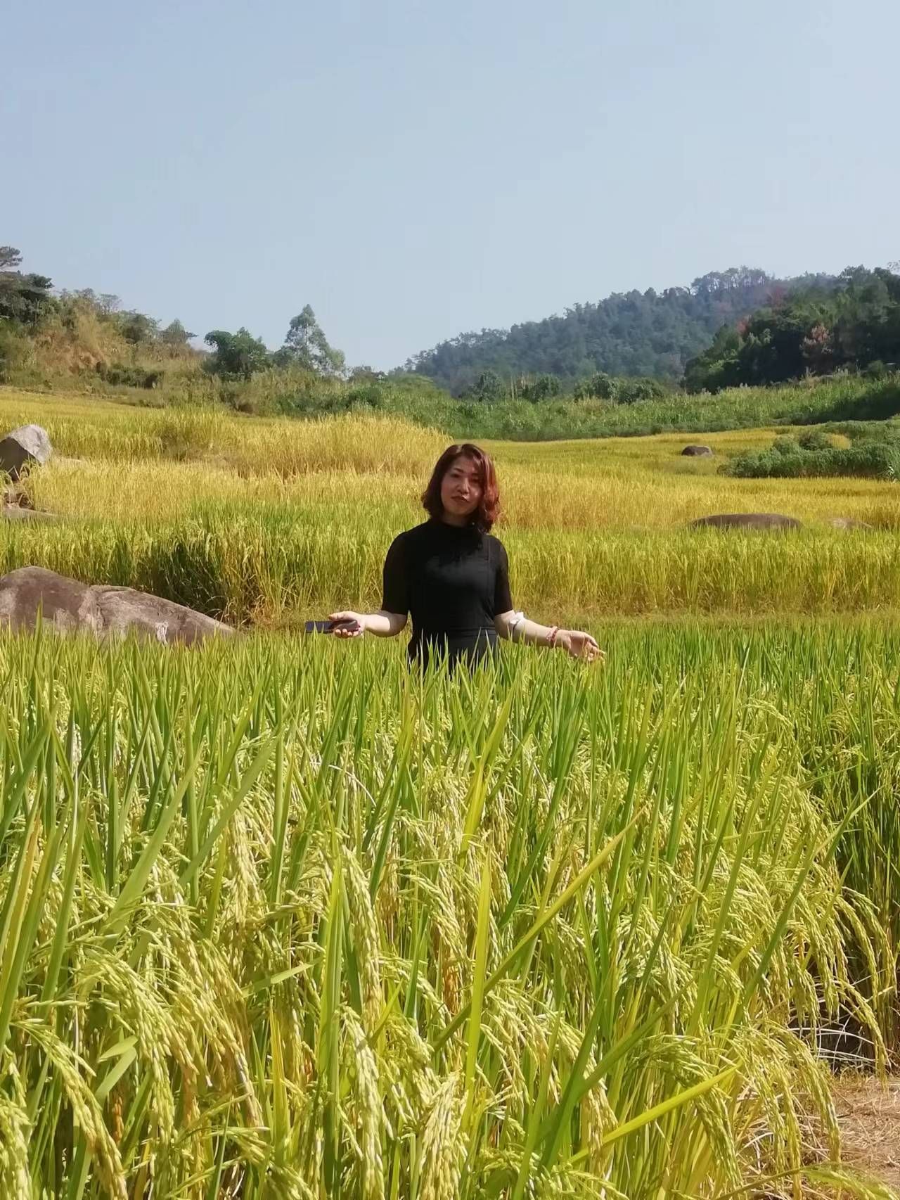 Guangning: The layers of rice in Lindong Village have become a check-in ...
