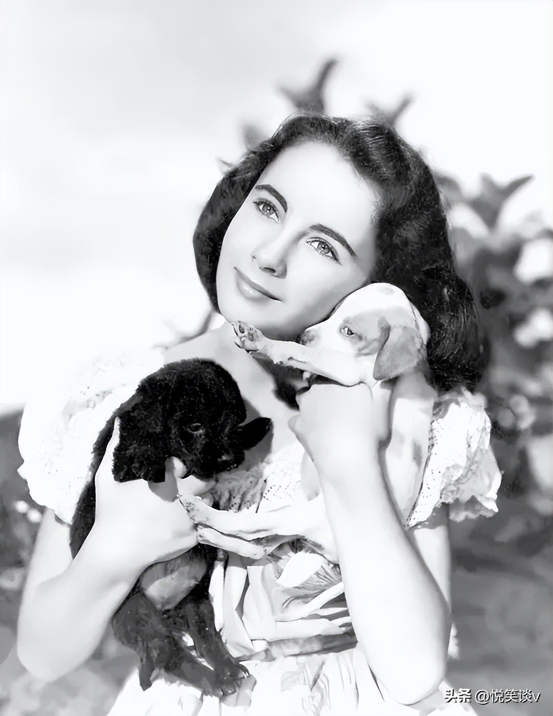 Camera Technique and Camera Movement in the Movie "Lacy the Dog" - iNEWS