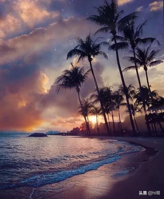 Chapter 100 / The Highest Standard of Good Character: Let All Things ...