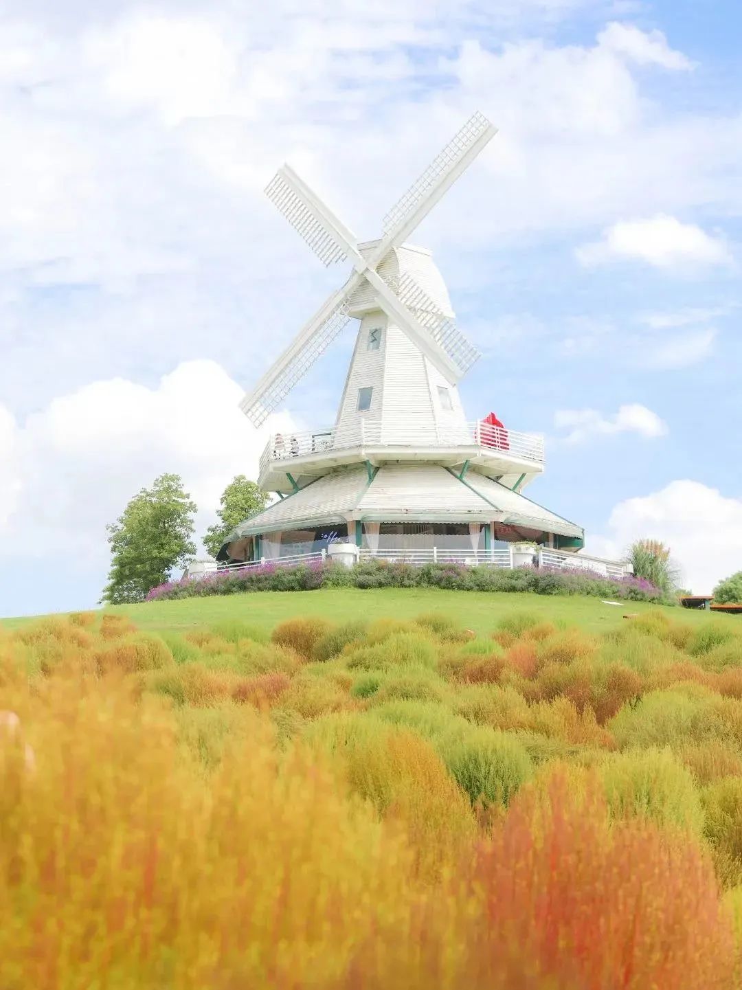 The shooting location of this popular movie is in Chengdu! - iNEWS