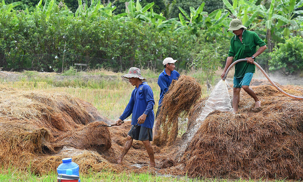 World faces worst rice shortage in 20 years - iMedia