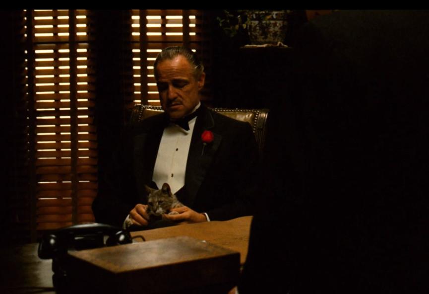 The Godfather: What was the storyline like? The complex structure of ...