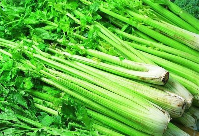 There is only one word difference between celery and celery, but there ...