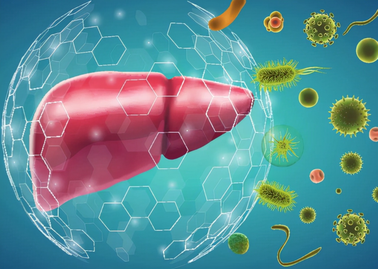 Is it bad for the liver to "fart" often?The doctor reminded: too much ...