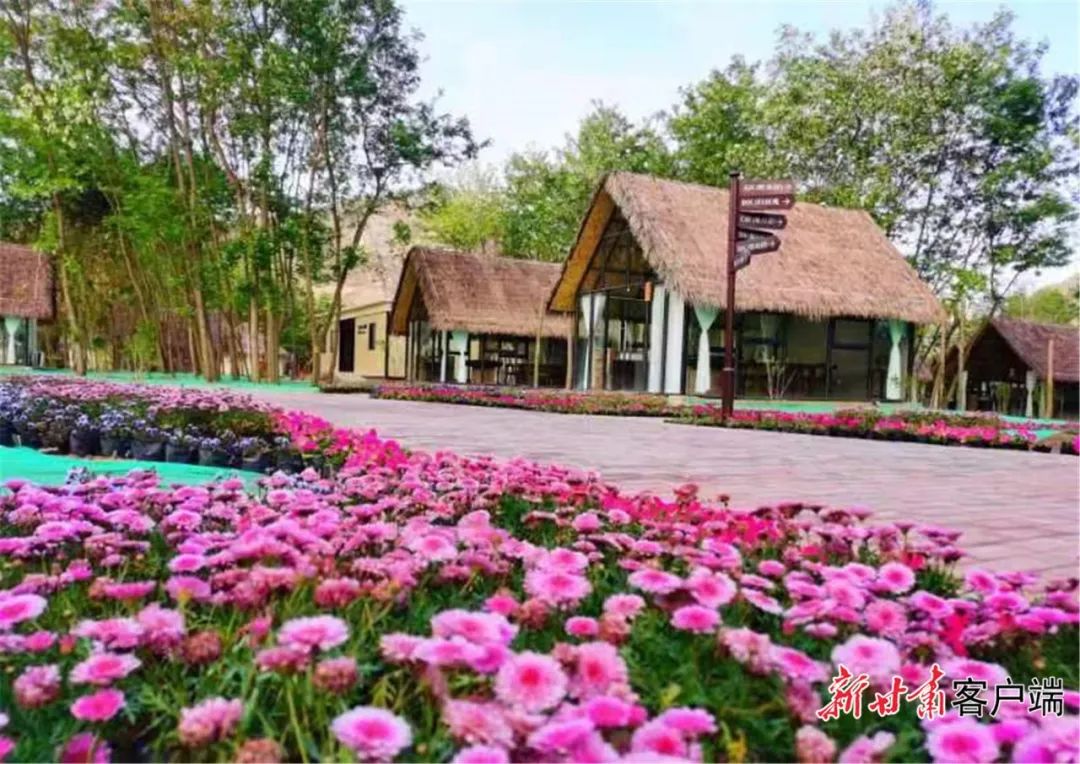 Baiyin City: Taking the road of green transformation to make the sky ...