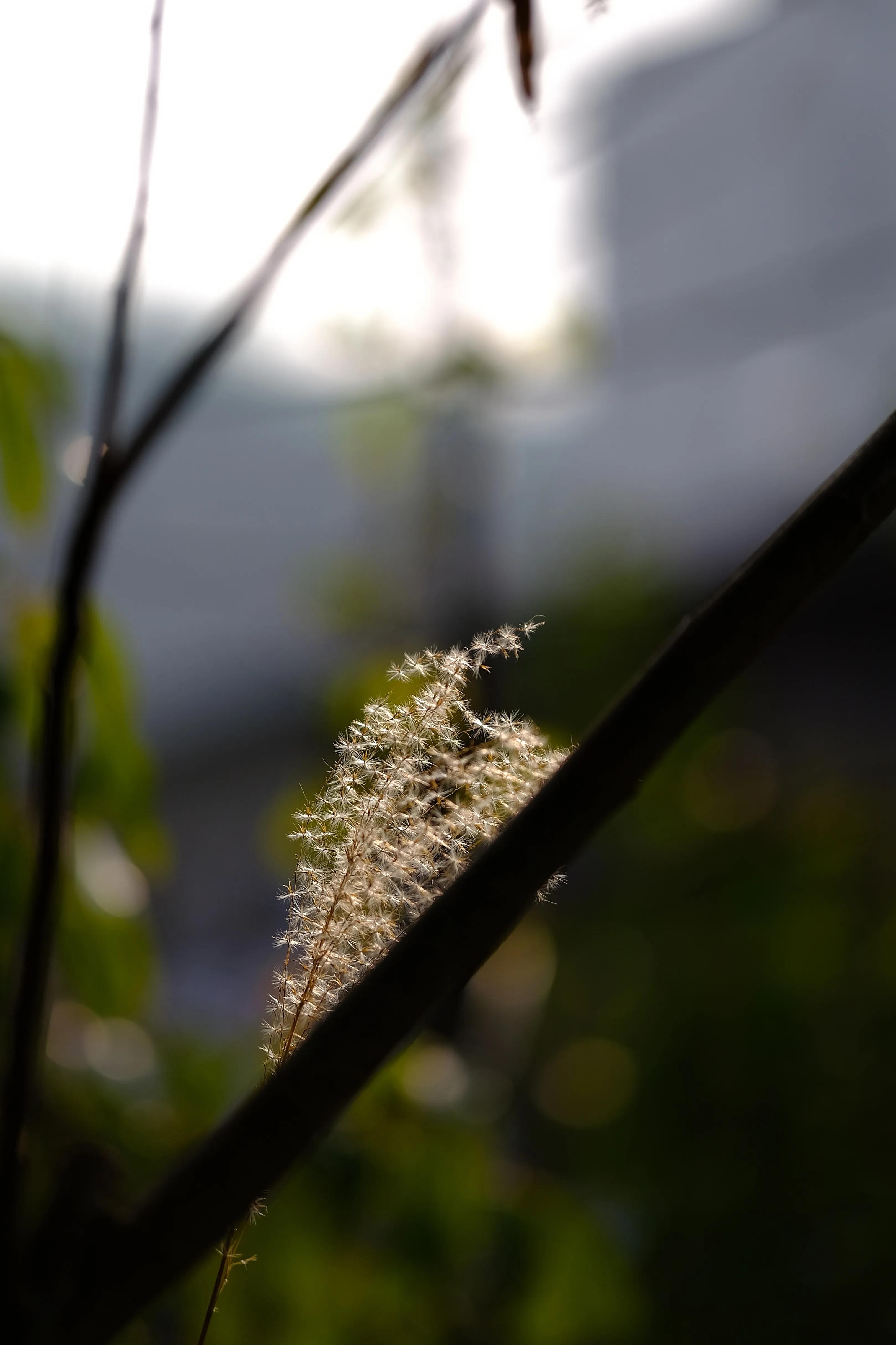 Desaturation Photos: A Popular Photography Style - iMedia